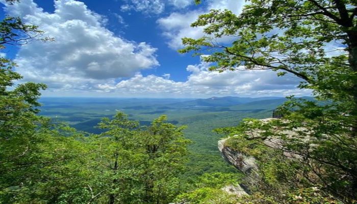 With More Than 7,467 Acres To Explore, South Carolina’s Largest State ...