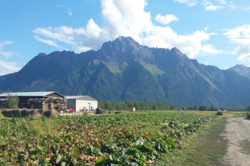 This Amazing Glass Top Train Ride In Alaska Is Gorgeous