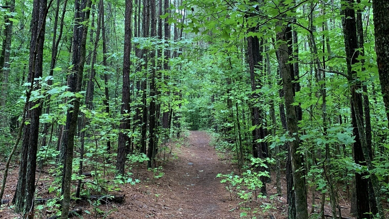Ogle Magnificent Trees And Beautiful Waterways On This Fairy Tale Trail ...