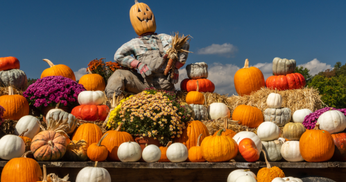 These 12 Charming General Stores In North Carolina Are Pure Nostalgia