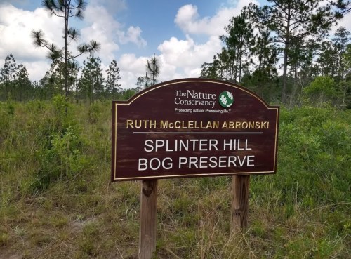 Splinter Hill Bog: A Beautiful Alabama Preserve
