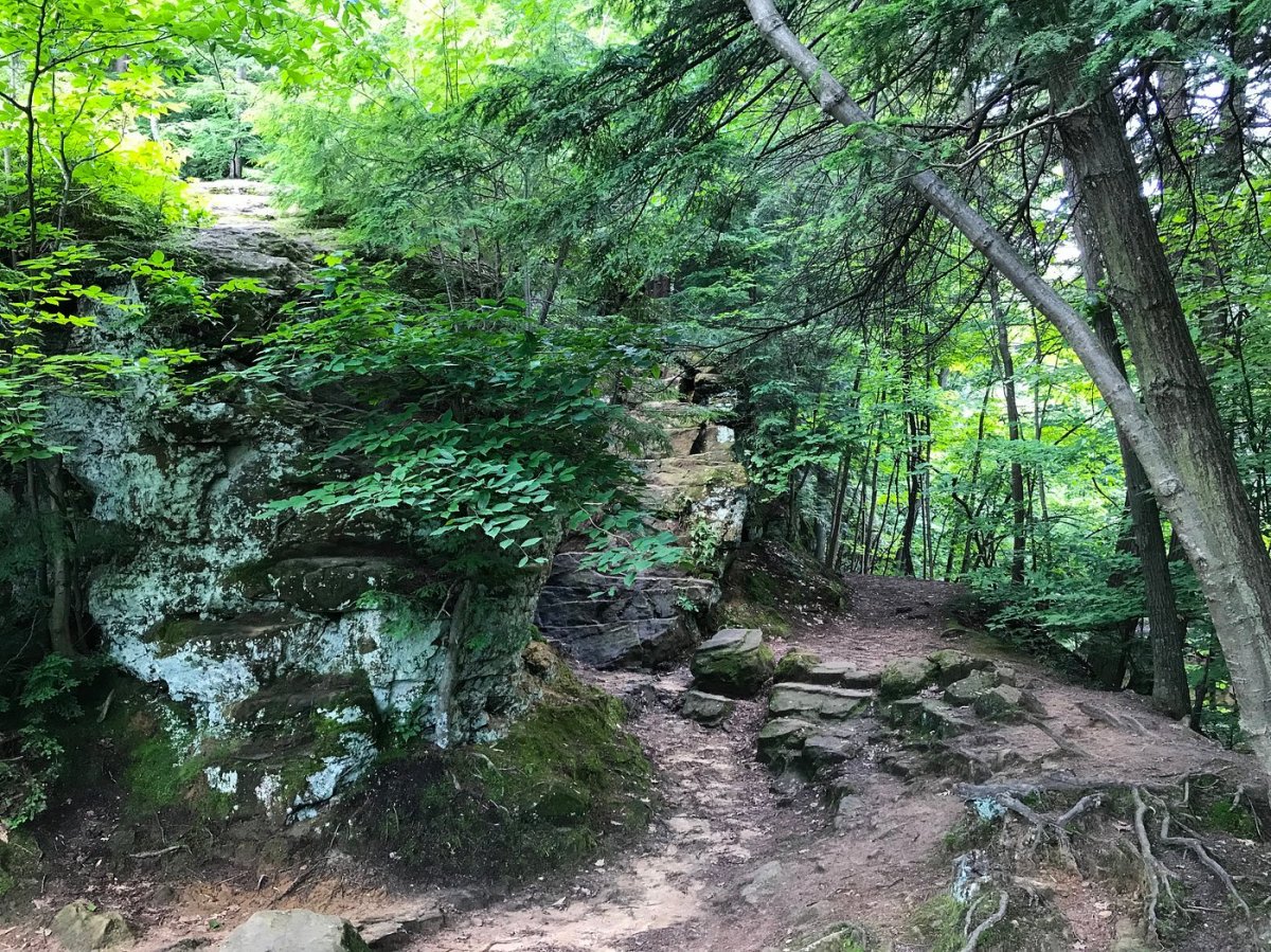 Explore Unique Rock Formations Near Detroit At Fitzgerald Park