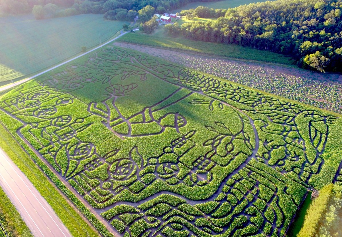 The Treinen Farm Corn Maze In Wisconsin Is A Fall Tradition