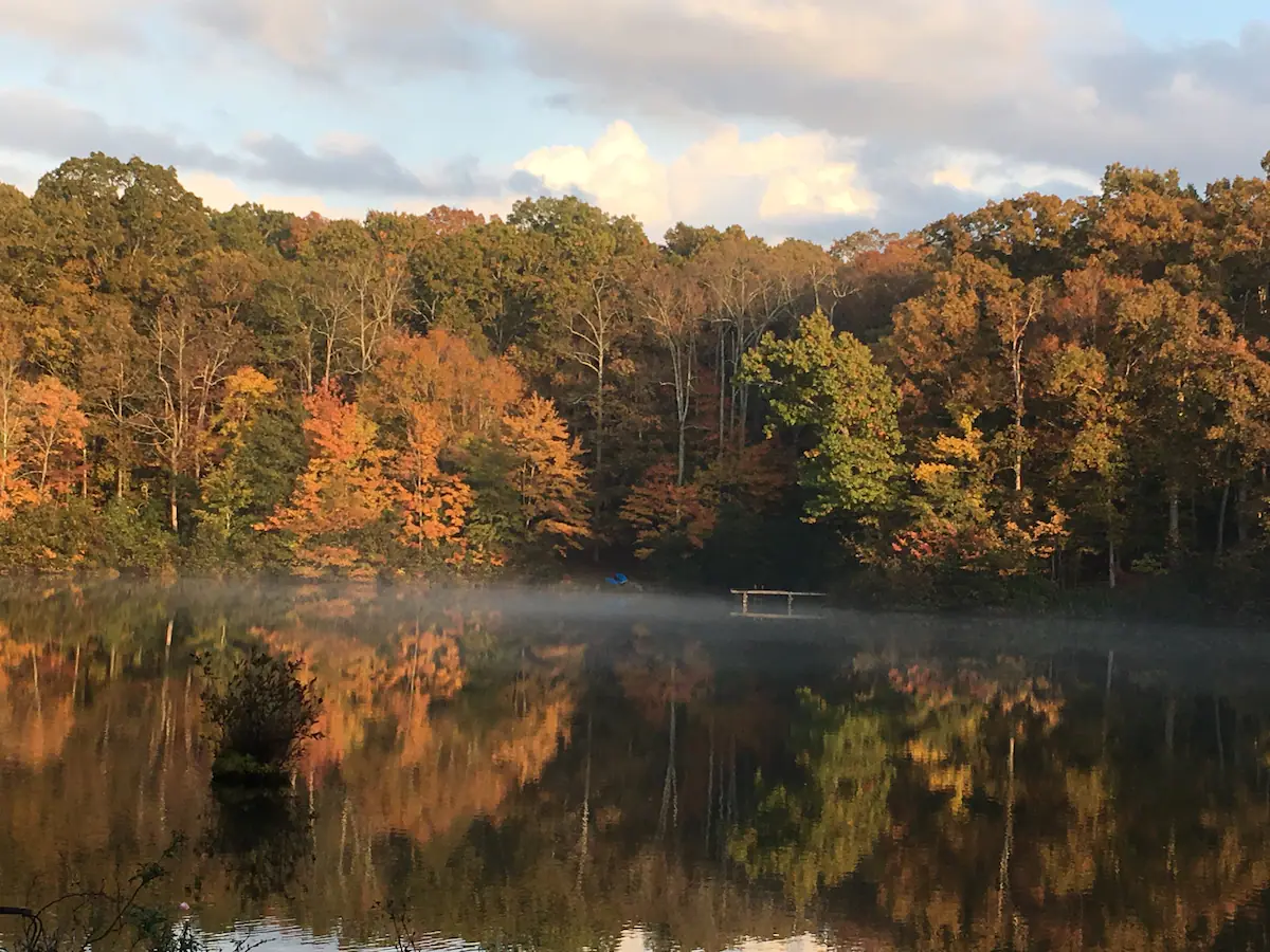 Spend Autumn In Mississippi At This Lakefront Cottage