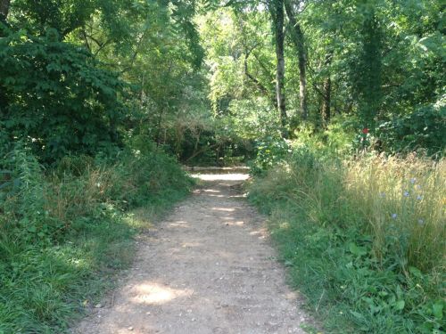 Busiek State Forest Is Perfect For Missouri Nature Lovers