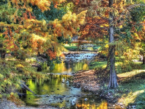 7 Best Places To See The Fall Leaves In Oklahoma