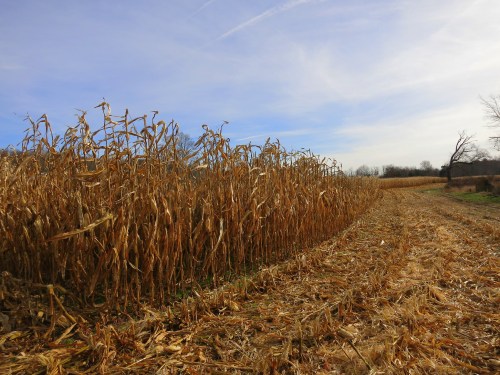 10 Small Towns That Are Delightful: Rural Rhode Island