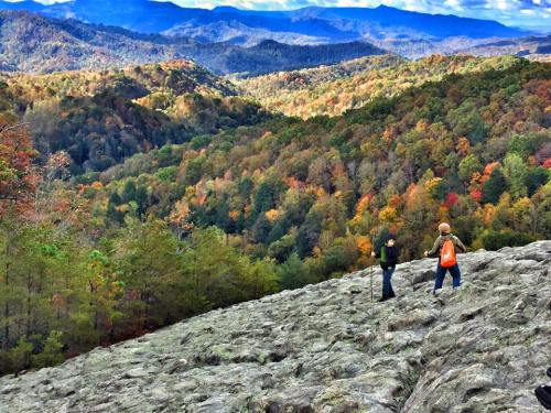 Blanton Forest State Nature Preserve: A Hidden Gem In Kentucky