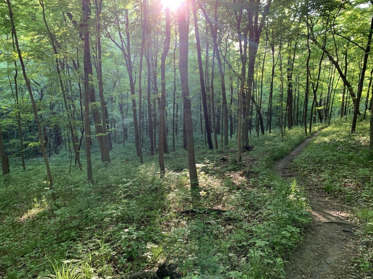 There's A Nature Preserve Just Waiting For Missouri Explorers