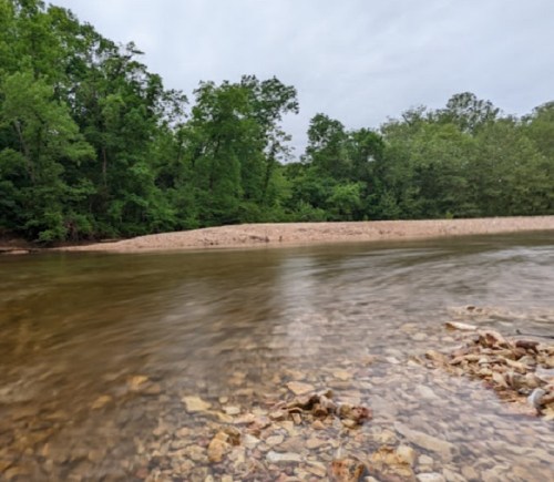 Busiek State Forest Is Perfect For Missouri Nature Lovers