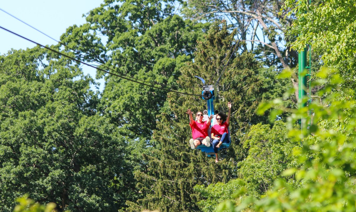5 Amazing Treetop Adventures In Rhode Island