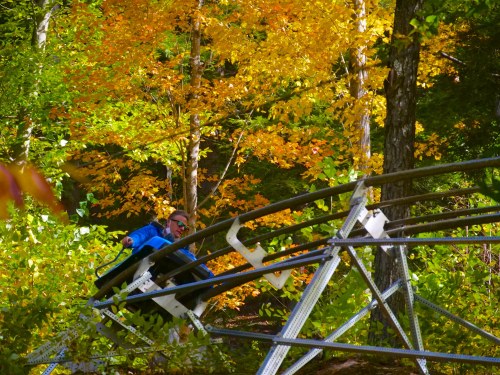 Take A Mountain Coaster Through Fall Foliage In Massachusetts