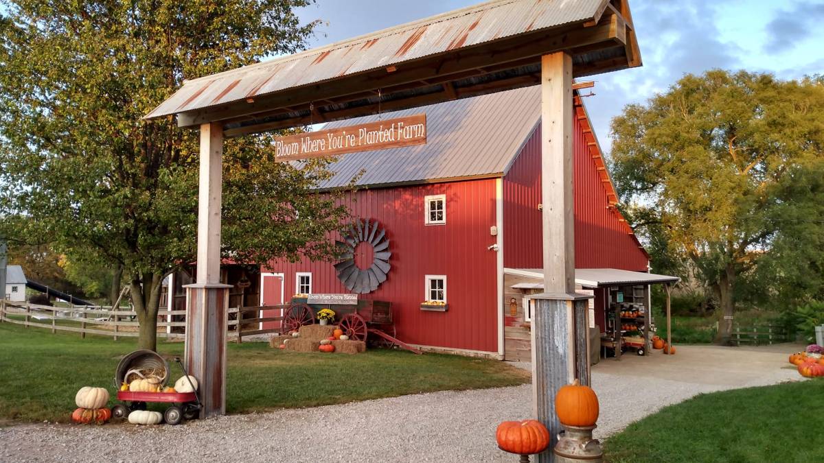 Visit A Classic Nebraska Fall Festival At This Rural Pumpkin Patch