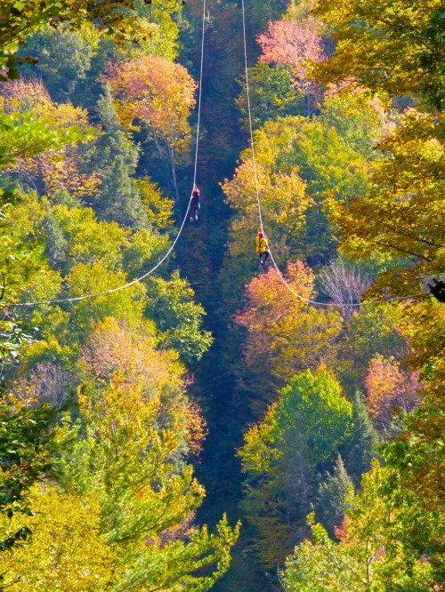 Take A Mountain Coaster Through Fall Foliage In Massachusetts