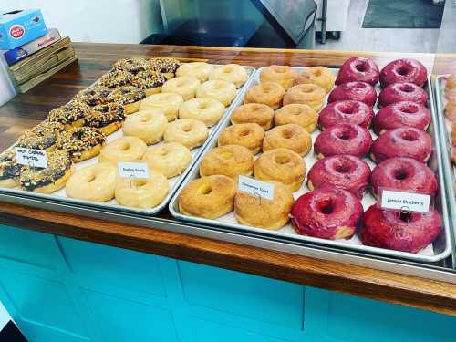It's Worth A Drive Across Ohio Just For Destination Donuts