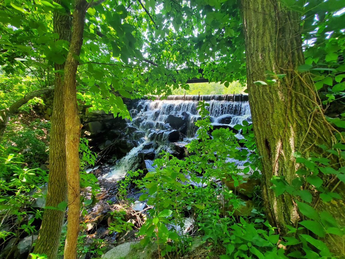 Frenchtown Park Trail In Rhode Island Is An Easy, Beautiful Hike