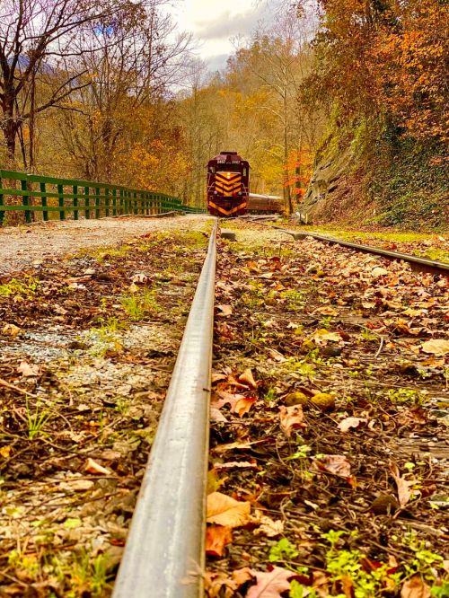 Take This Exciting Fall Foliage Train Ride In North Carolina