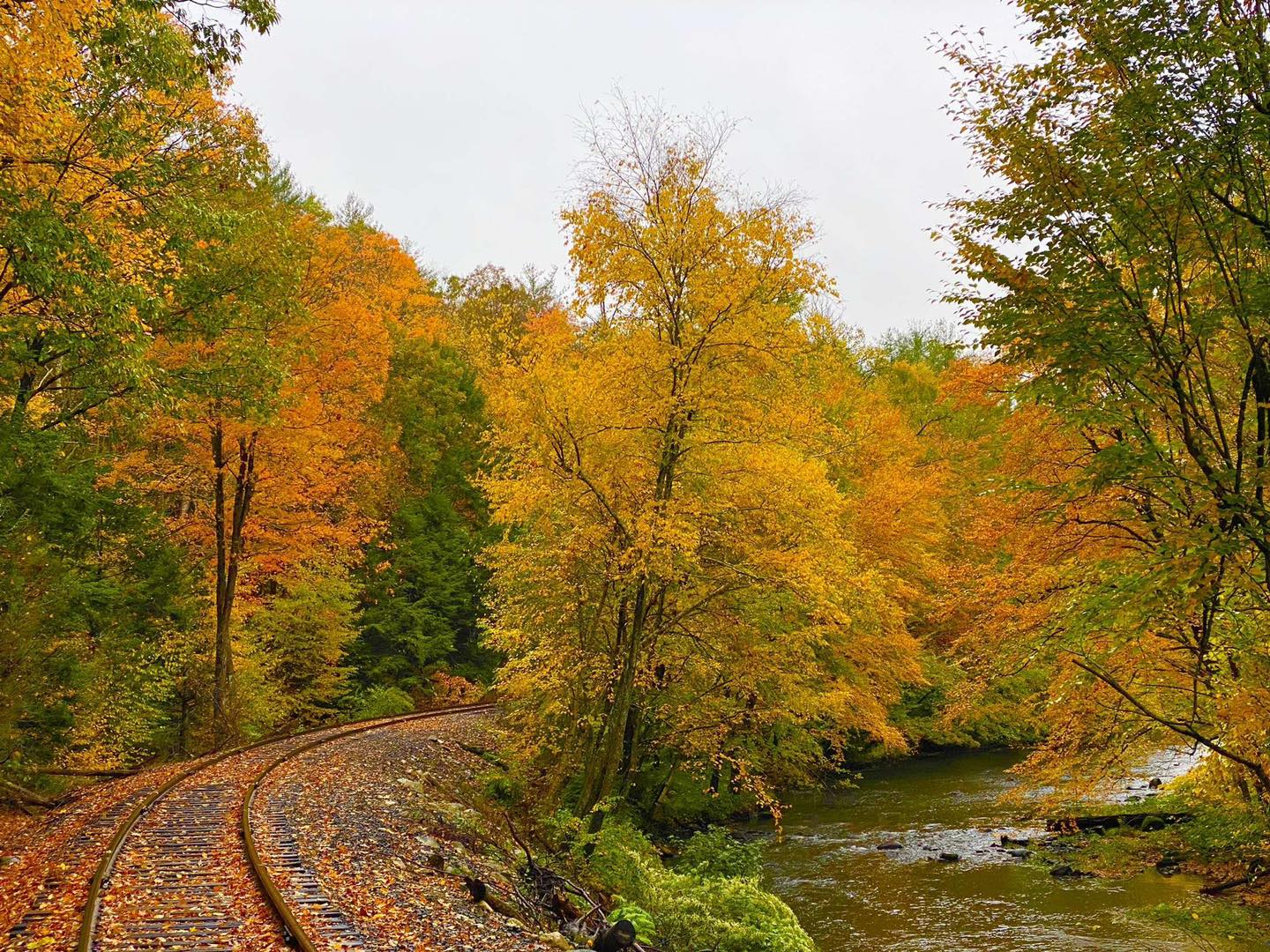 This Connecticut Train Ride Leads To The Most Stunning Fall Foliage You ...