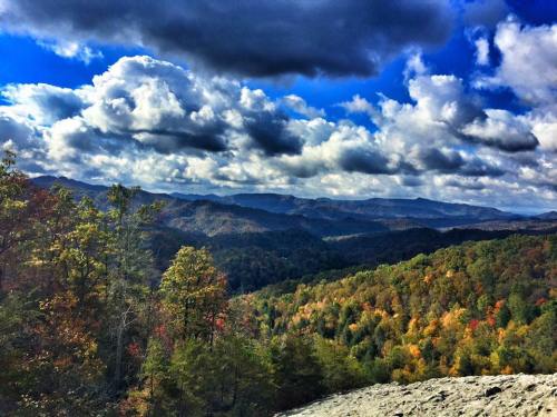 Blanton Forest State Nature Preserve: A Hidden Gem In Kentucky