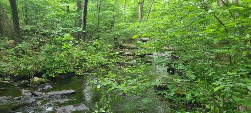 Frenchtown Park Trail In Rhode Island Is An Easy, Beautiful Hike