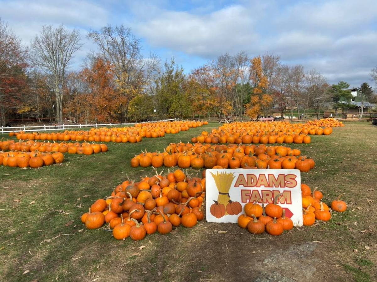 The Rhode Island Pumpkin Patch Where You Can Take A Hay Ride