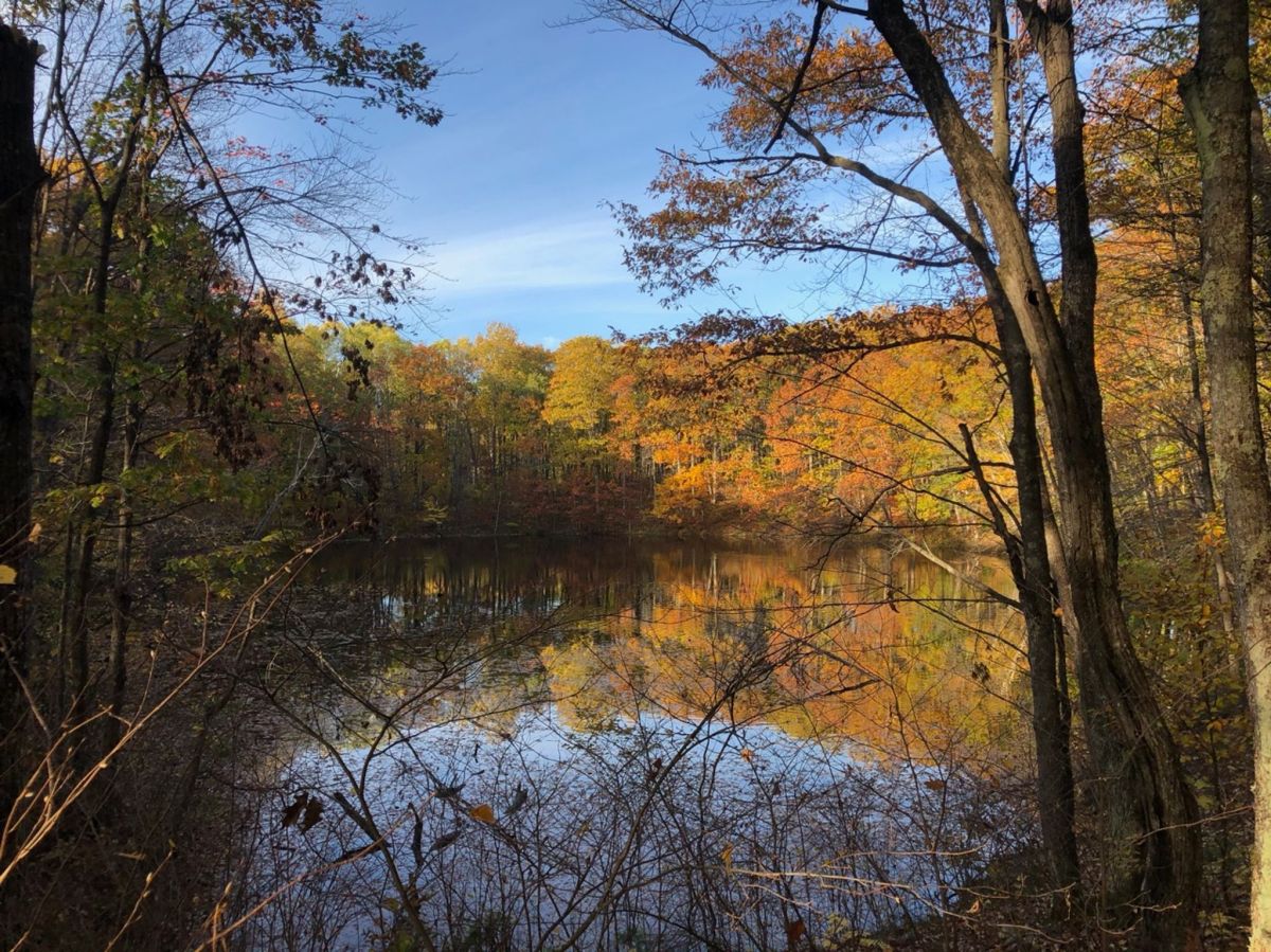 Take This Scenic Trail For A Colorful Fall Foliage Hike In Wisconsin