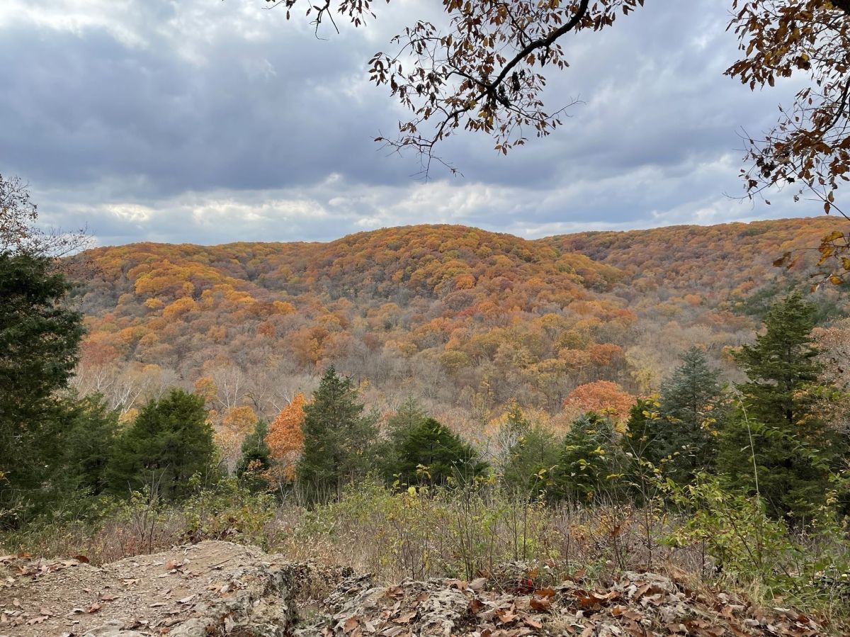 7 Overlooks In Missouri That Burst With Fall Color Every Year