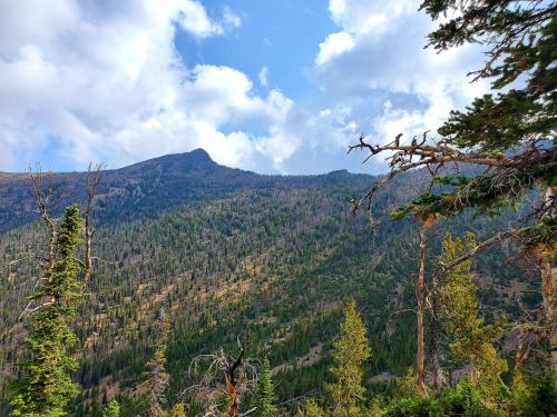 Jarbidge Wilderness Is A Beautifully Remote Area In Nevada