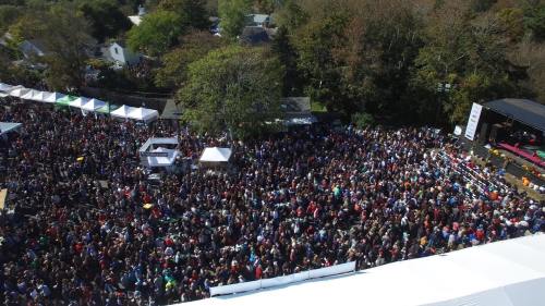 Wellfleet OysterFest: Small-Town Fall Festival In Massachusetts