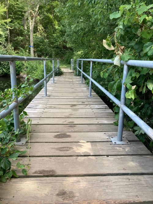 Frenchtown Park Trail In Rhode Island Is An Easy, Beautiful Hike