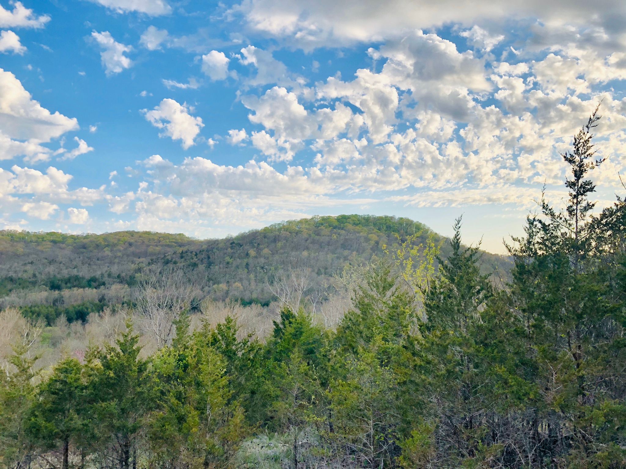 A True Hidden Gem, The 2,500-Acre Busiek State Forest Is Perfect For ...