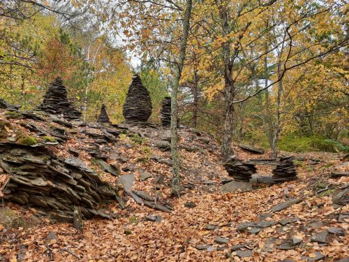 Tiadaghton State Forest Is Perfect For Pennsylvania Nature Lovers
