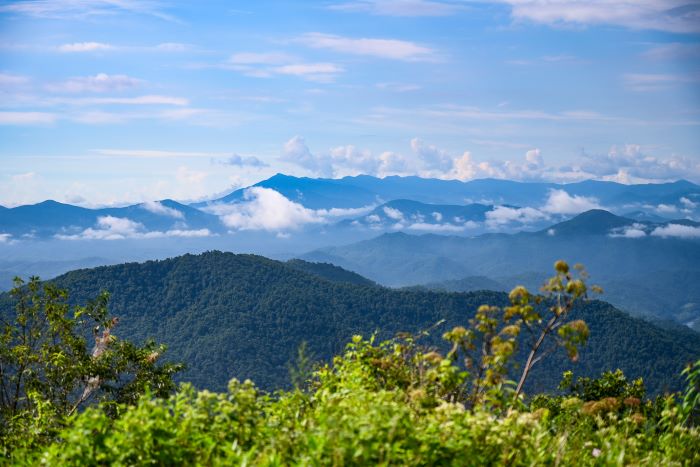 An Amazing Overlook In East Tennessee Has Views Of Two States