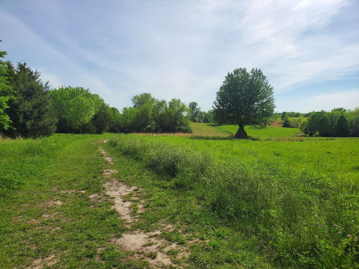 This Family-Friendly Trail In Kansas Is Gorgeous And Entertaining