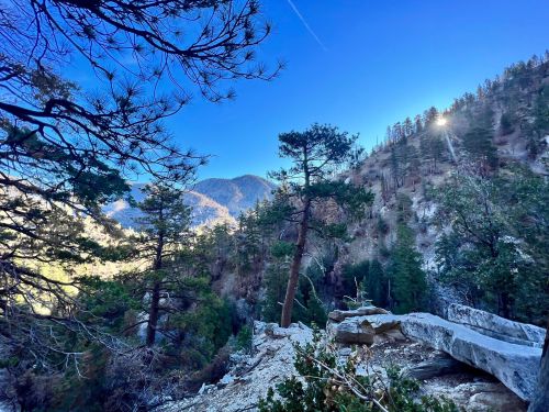 These 5 Forest Trails In Southern California Are An Adventure
