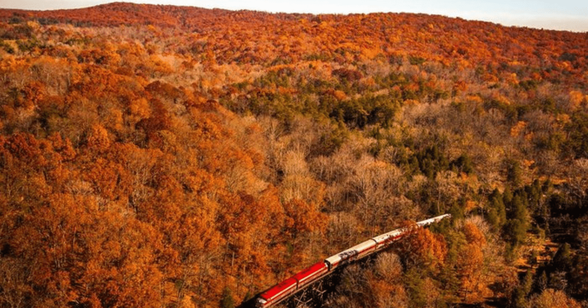 5 Best Fall Cincinnati Train Rides
