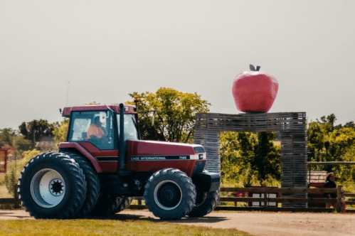 Ditmars Orchard & Vineyard: A Family-Friendly Farm In Iowa