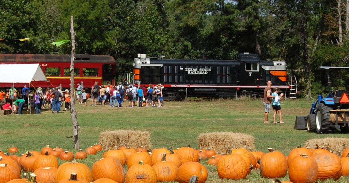 You Can't Live Without These Amazing Fall Train Rides In Texas