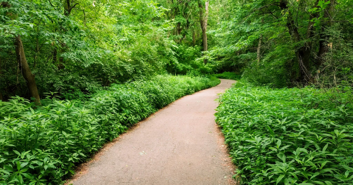 Rouge River Gateway Trail Near Detroit Is One Of The Best Trails