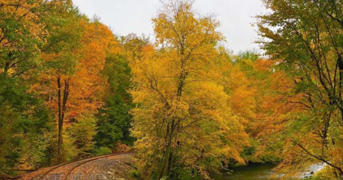 5 Ridiculously Charming Train Rides To Take In Connecticut This Fall