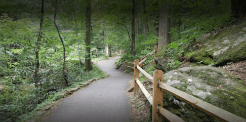 Discover the Beauty of Anna Ruby Falls in Georgia This Fall