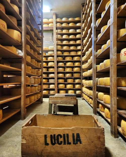 Visit Joe Matos Cheese & Farmstead Co In Northern California