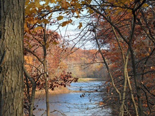 This State Park Is One Of The Best Places For Fall Color In Indiana