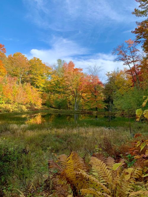 Scenic Hiking Trails Around Small Town Saint Albans, Vermont