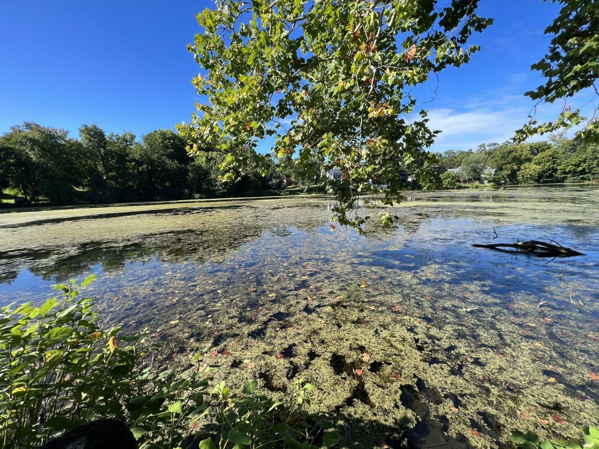 A Short Lake Hike In Kentucky Hidden In Plain Sight