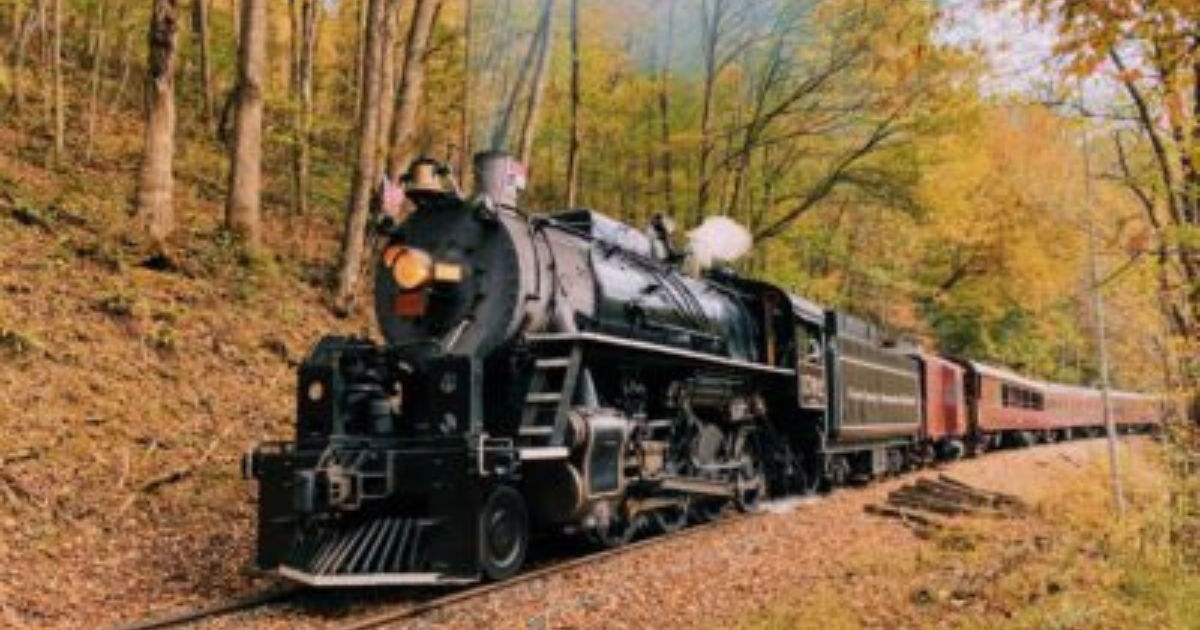 Take This Exciting Fall Foliage Train Ride In North Carolina