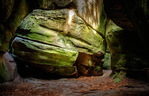 The Channels State Forest: Natural Hidden Gem In Virginia