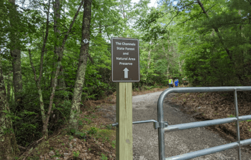 The Channels State Forest: Natural Hidden Gem In Virginia