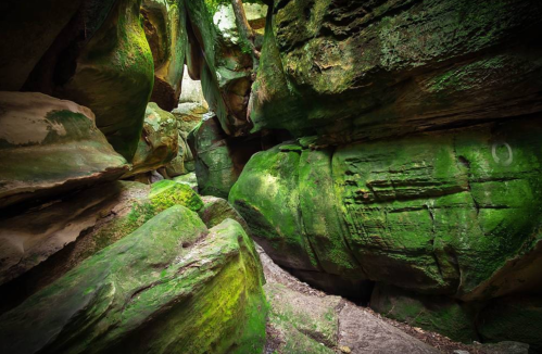 The Channels State Forest: Natural Hidden Gem In Virginia