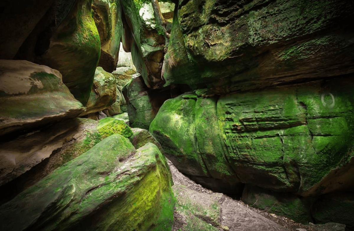 The Channels State Forest: Natural Hidden Gem In Virginia